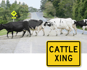 Cattle Crossing Signs | Keep Gate Closed